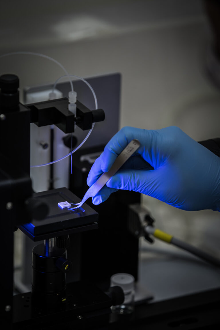 Home - Neto Research Group